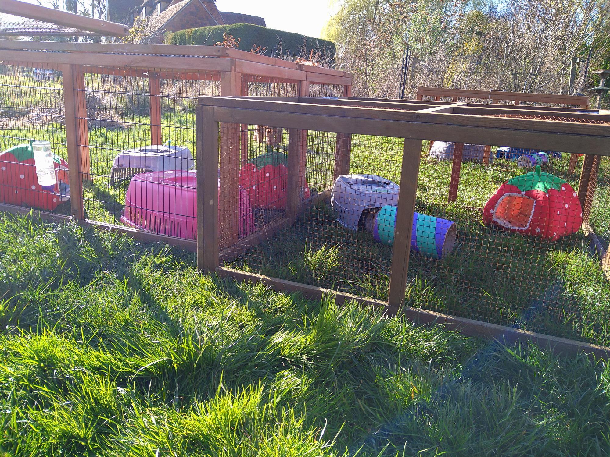 Accommodation – Gate House Guinea Pig Hotel