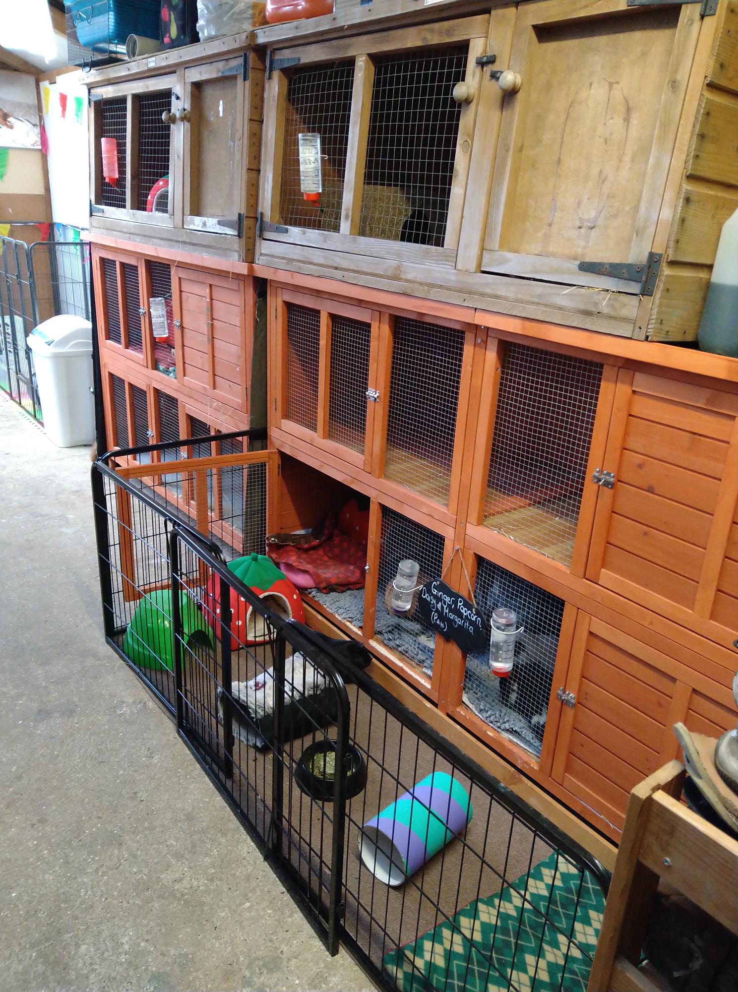 Accommodation – Gate House Guinea Pig Hotel
